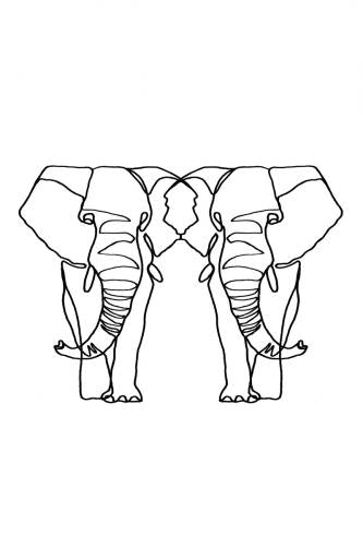 Elephant Lines – Drawdeck