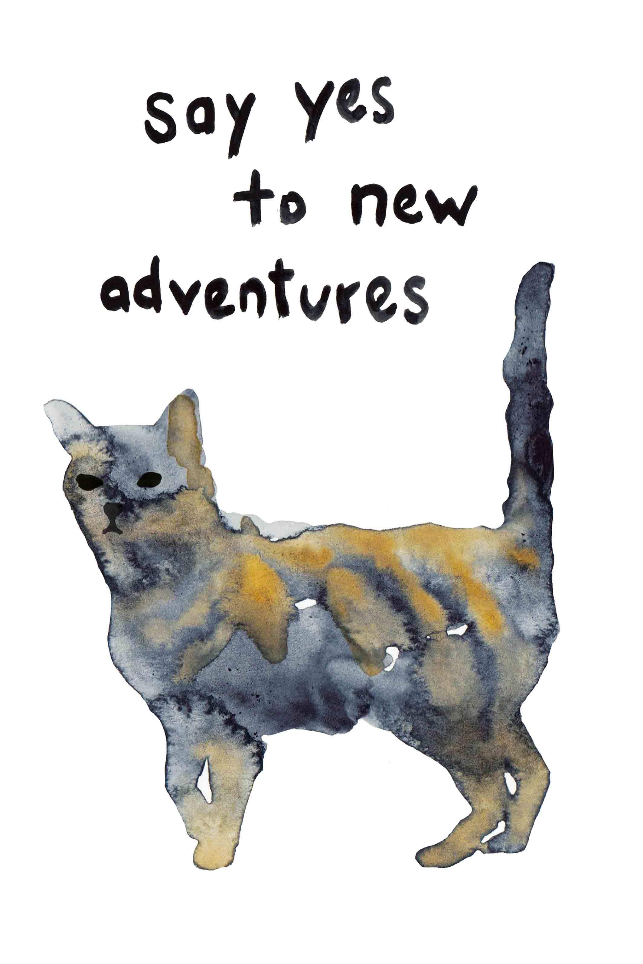 Cat Wall Art – Drawdeck