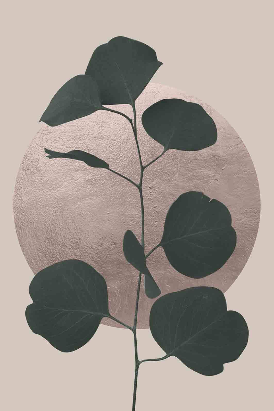 Island Leaf 1 – Drawdeck