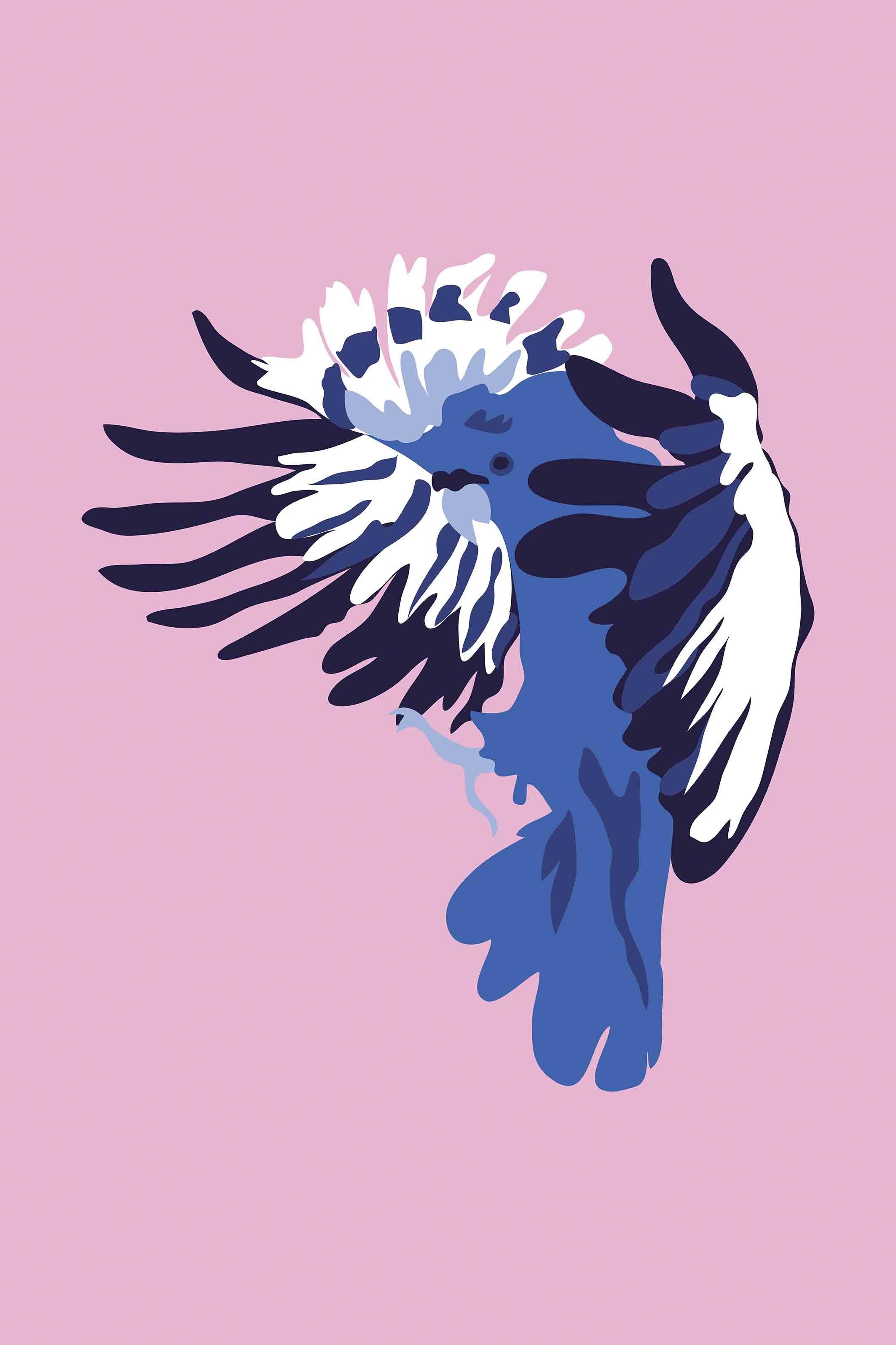 Blu Cockatoo Wall Art – Drawdeck