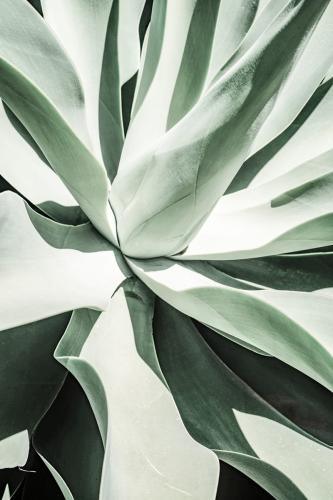 Inside Out Wall Art – Drawdeck